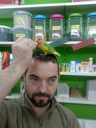 3.jpg :: Ocelleria el Rossinyol